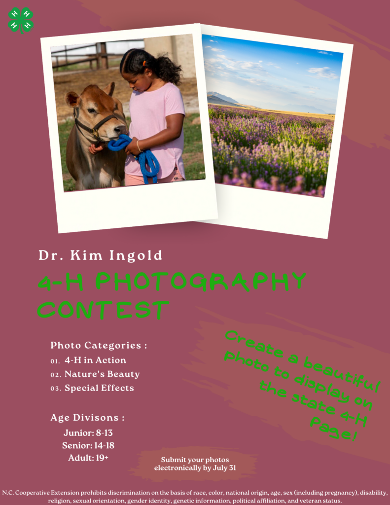 Ingold 4-H Photography Contest | N.C. Cooperative Extension